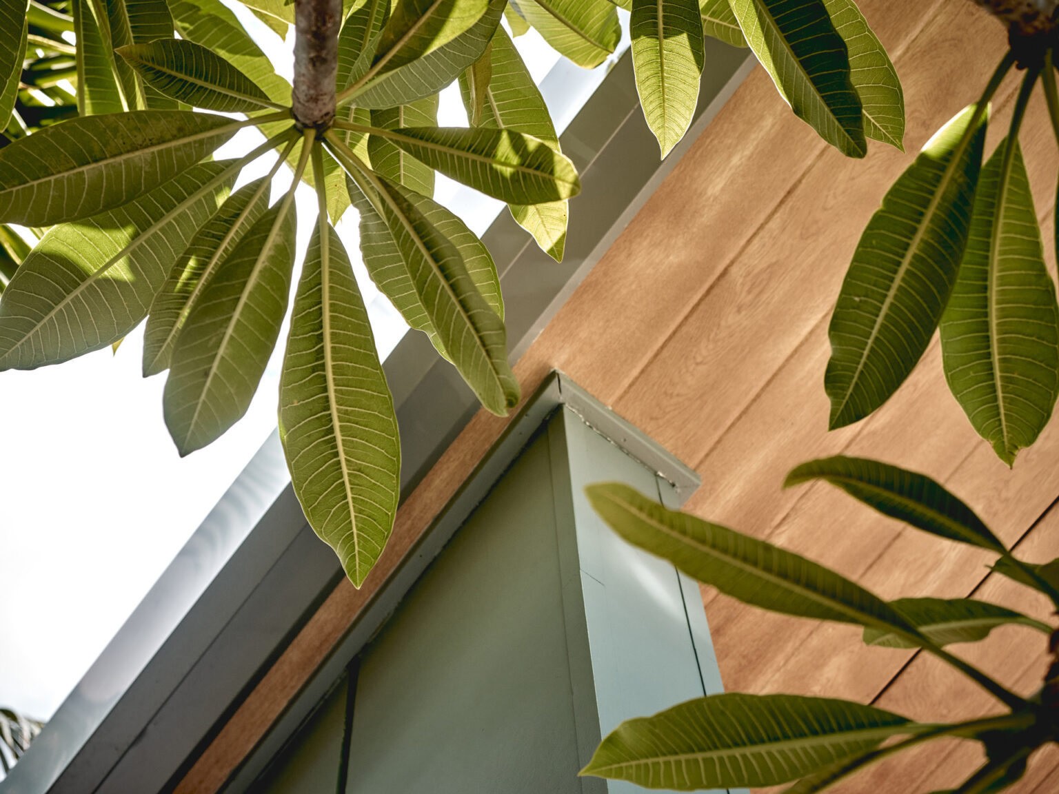 Maple* - Unicote LUX